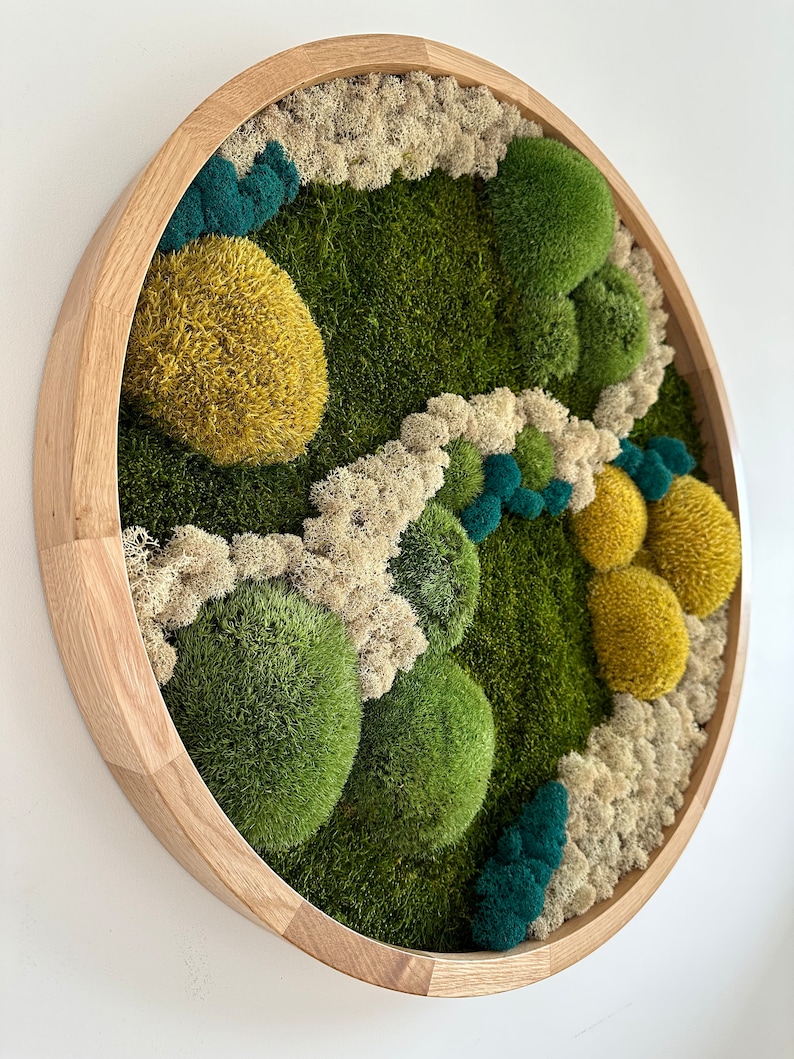 Colorful Moss Picture, Wooden Frame, Moss Art, Home Decoration - Etsy