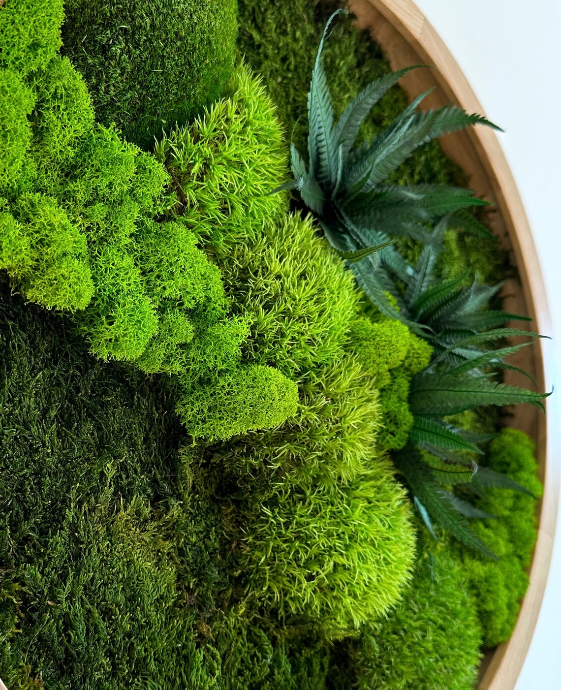 Wooden Frame Moss Picture, Moss Art, Home Decor - Etsy