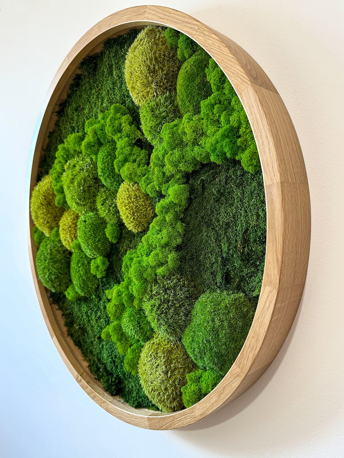 Wooden Frame Moss Picture, Moss Art, Home Decoration - Etsy