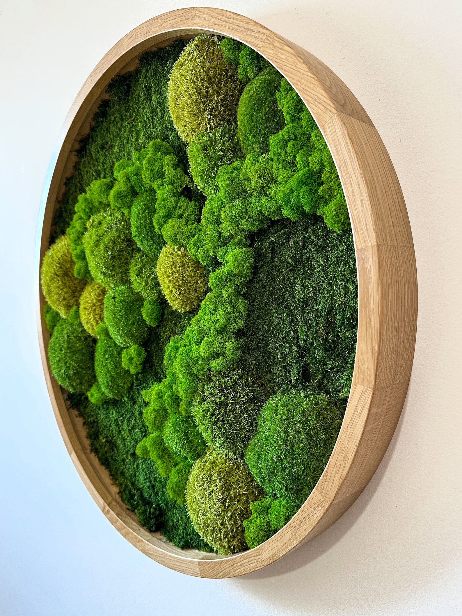 Wooden Frame Moss Picture, Moss Art, Home Decoration - Etsy