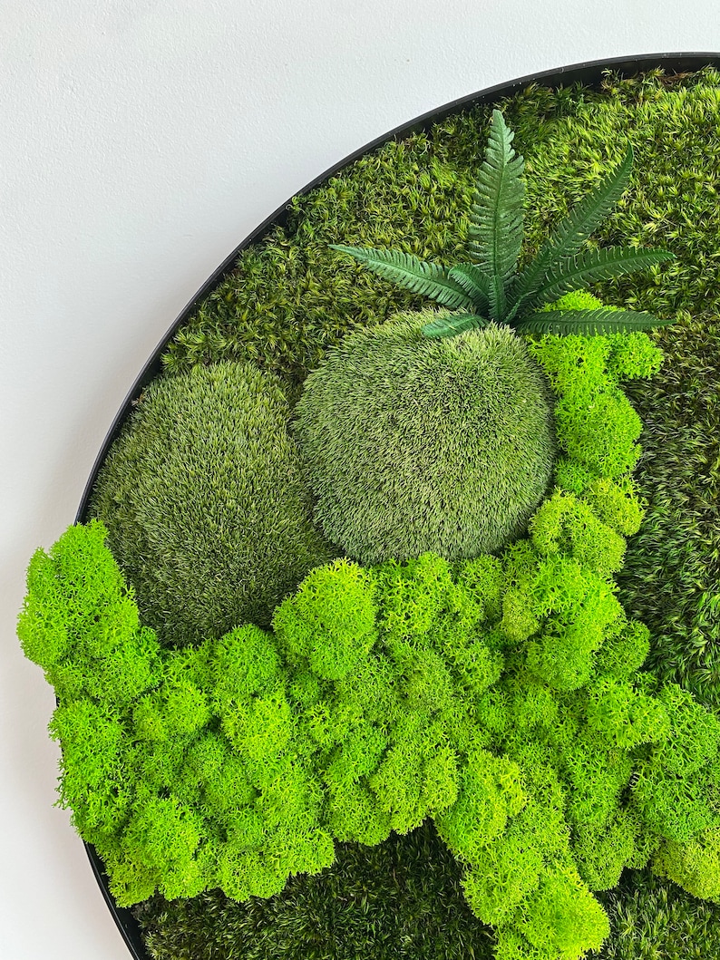 Black Framed Moss Art: Handmade Preserved Moss Picture - Etsy