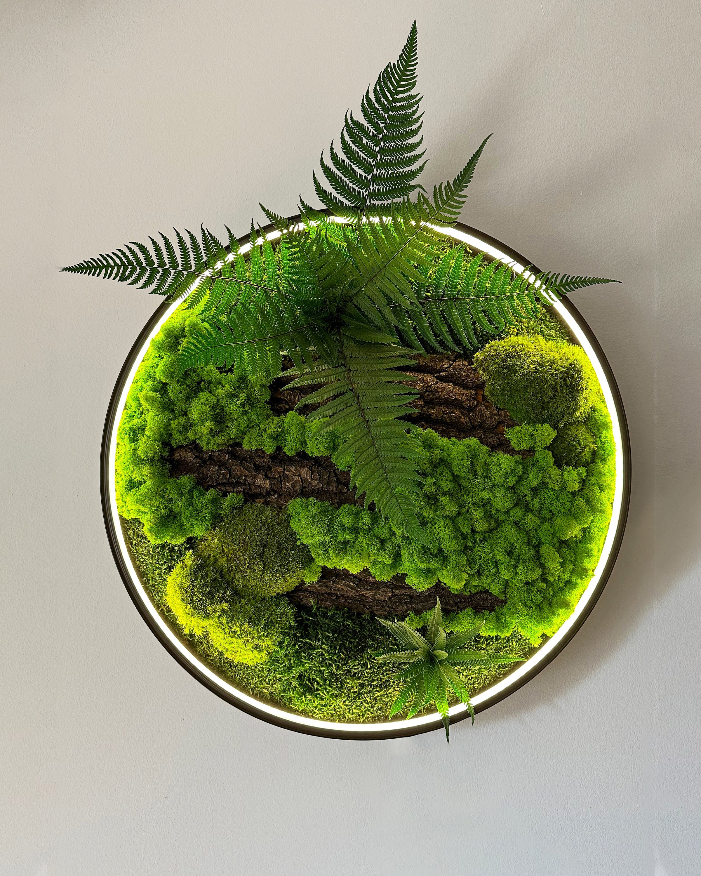 Lush Green LED Moss Wall Art - Circular Steel Frame With Preserved Moss ...