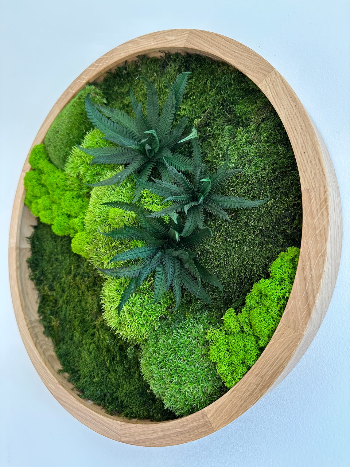 Wooden Frame Moss Picture, Moss Art, Home Decor - Etsy