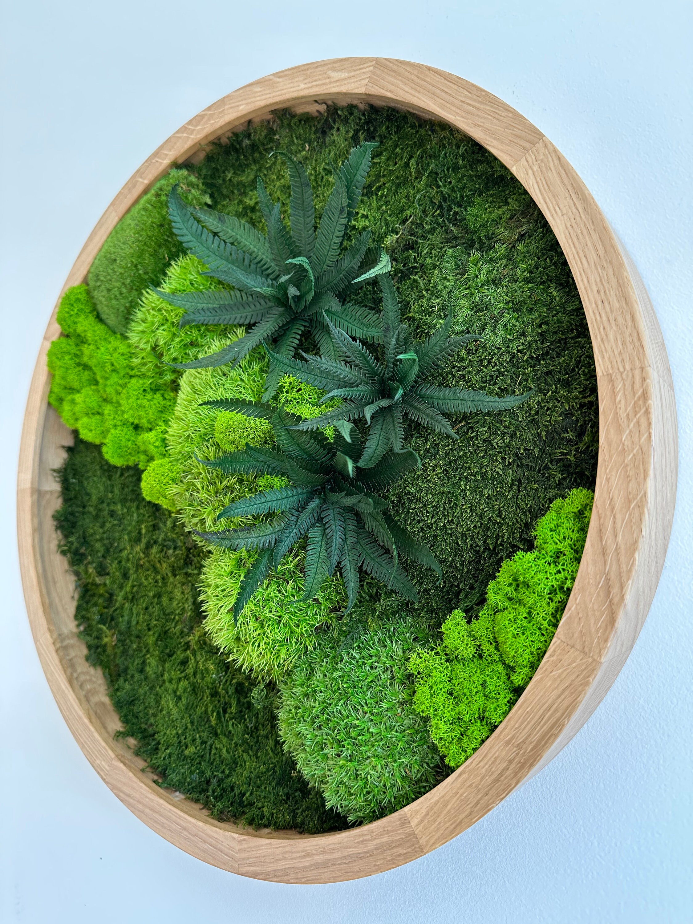 Wooden Frame Moss Picture, Moss Art, Home Decor - Etsy