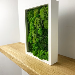 Moss Frame, Moss Art, Mosswall, Moss Picture, Home Decoration - Etsy