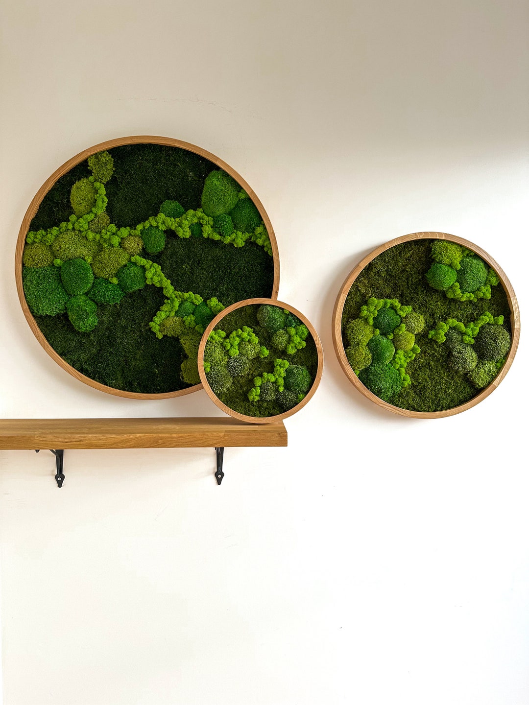 Set of 3 Moss Pictures in Wooden Frame, Mosswall - Etsy