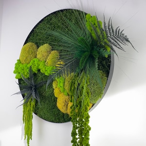 Moss Frame, Moss Art, Mosswall, Moss Picture, Home Decoration - Etsy