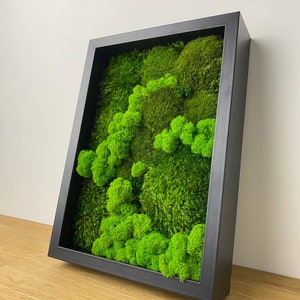 Moss Frame, Moss Art, Mosswall, Moss Picture, Home Decoration - Etsy
