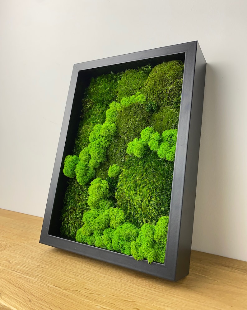 Moss Frame Moss Art Mosswall Moss Picture Home Decoration - Etsy