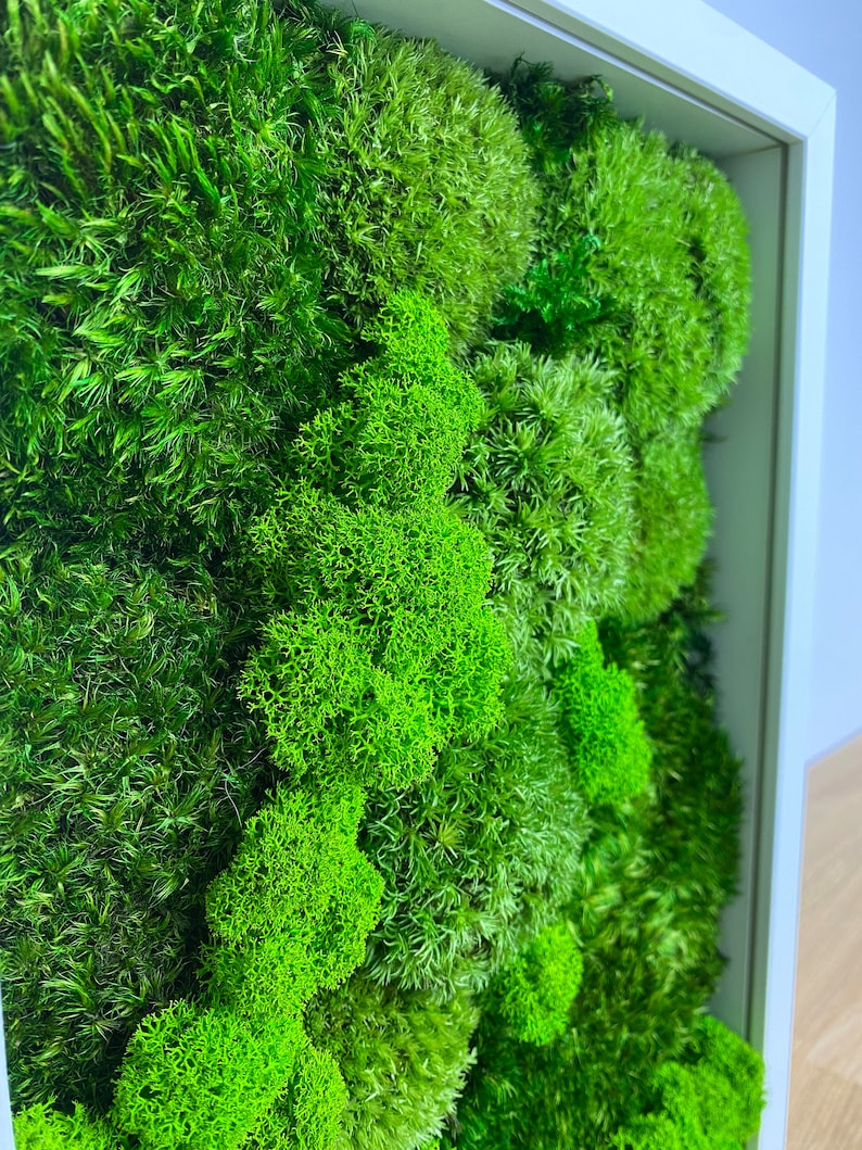 Moss Frame Moss Art Mosswall Moss Picture Home Decoration - Etsy