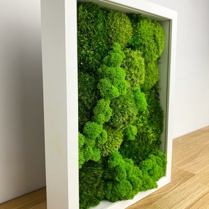 Moss Frame, Moss Art, Mosswall, Moss Picture, Home Decoration - Etsy