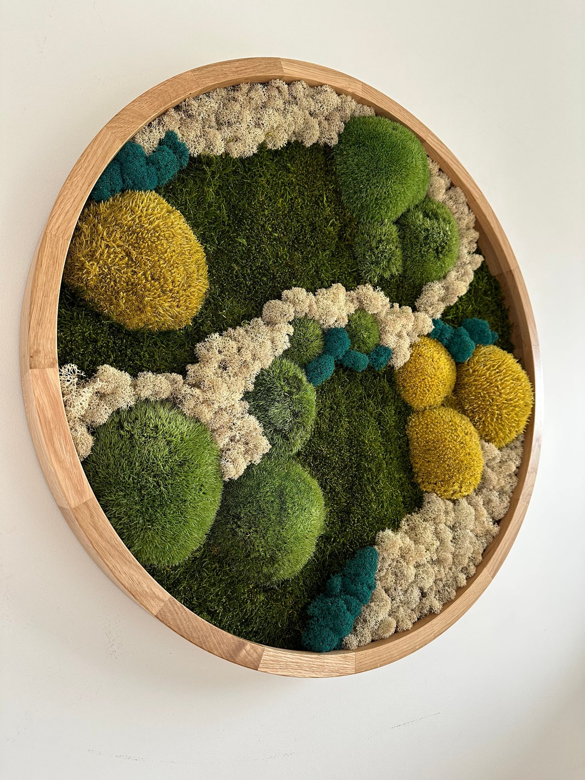 Colorful Moss Picture, Wooden Frame, Moss Art, Home Decoration - Etsy