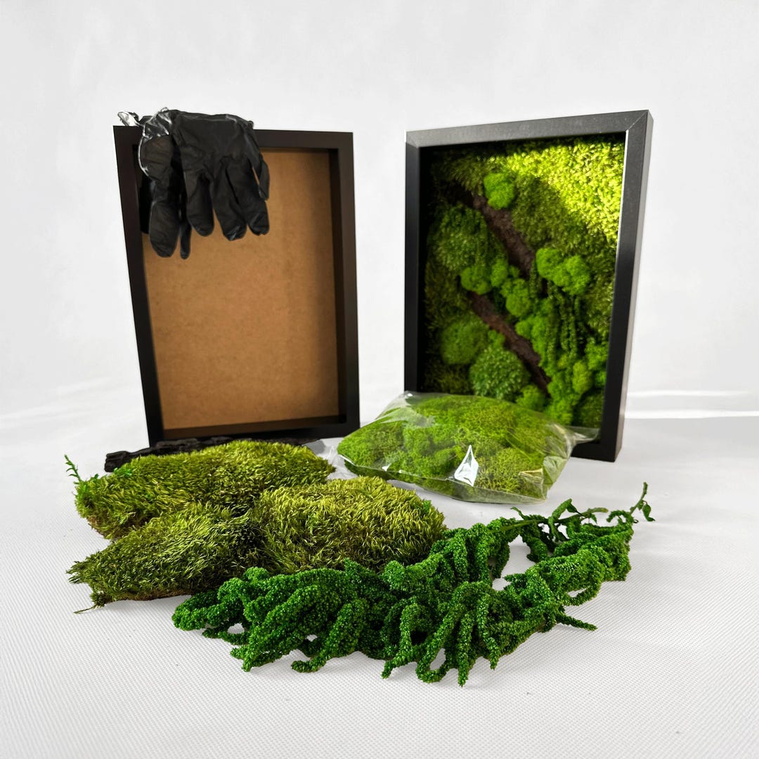 DIY Moss Art Kit, Handcraft, Moss Picture, Creative Gift - Etsy