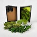 Wooden Frame Moss Picture, Moss Art, Home Decoration - Etsy