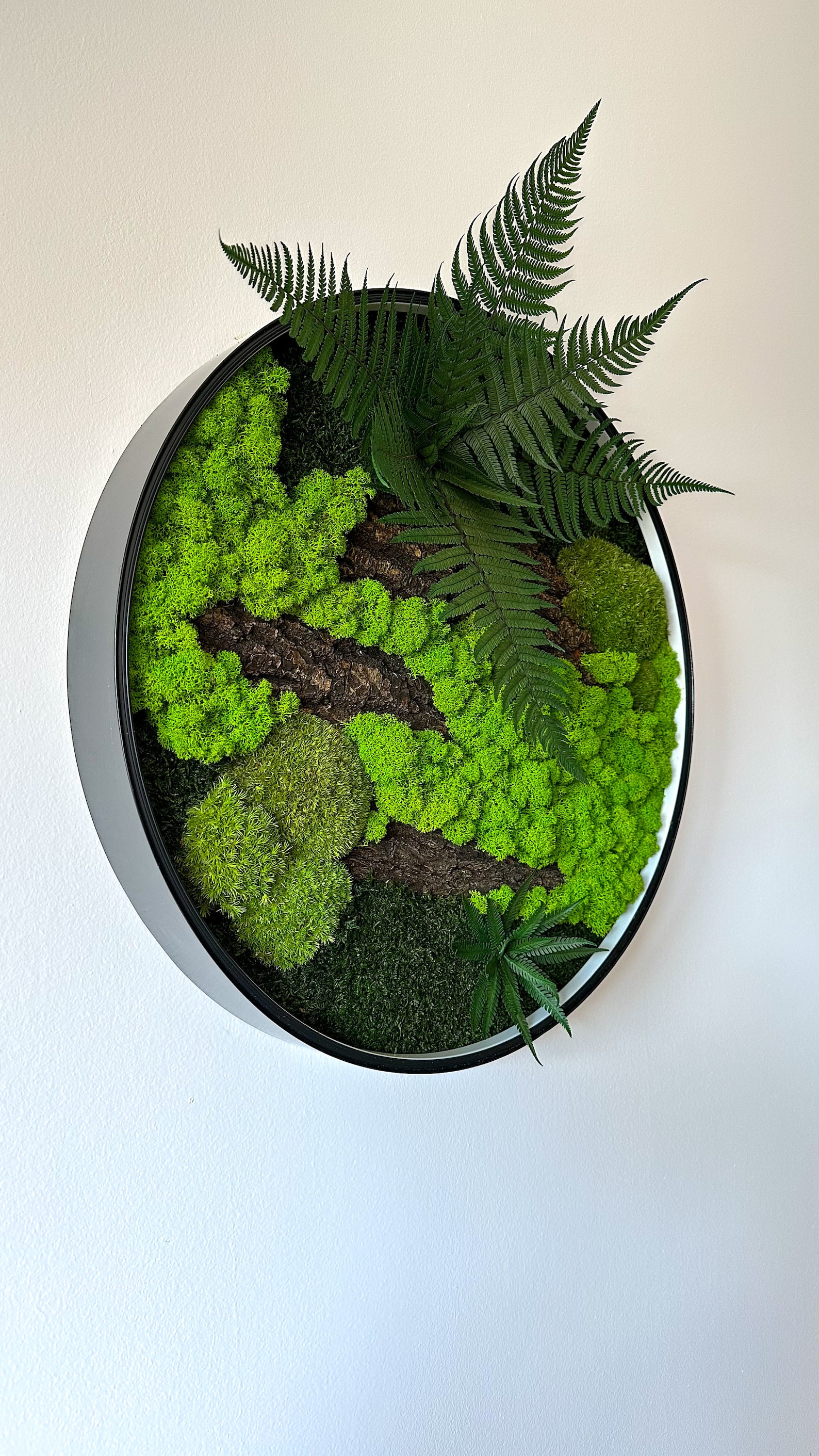 Lush Green LED Moss Wall Art - Circular Steel Frame With Preserved Moss ...