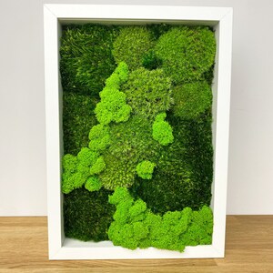 Moss Frame, Moss Art, Mosswall, Moss Picture, Home Decoration - Etsy