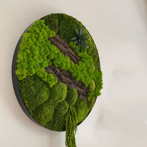 Moosbilder nach Maß, 3er Set, Moos Wand, Moos Dekor, Moos Bild, Wand ...