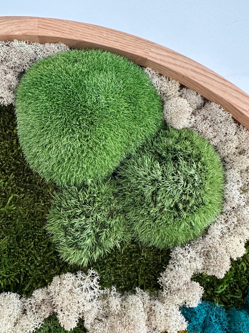 Colorful Moss Picture, Wooden Frame, Moss Art, Home Decoration - Etsy