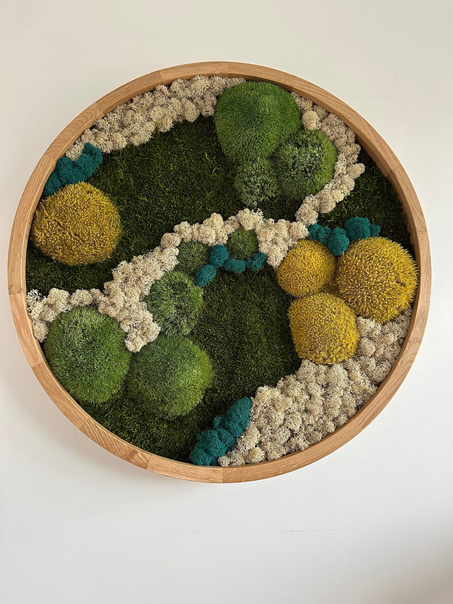 Colorful Moss Picture, Wooden Frame, Moss Art, Home Decoration - Etsy