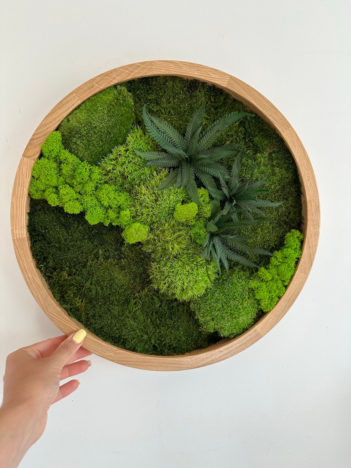 Wooden Frame Moss Picture, Moss Art, Home Decor - Etsy