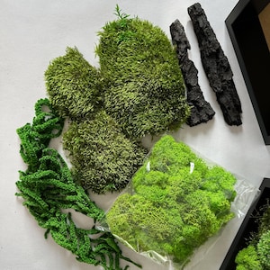 DIY Moss Art Kit, Handcraft, Moss Picture, Creative Gift - Etsy