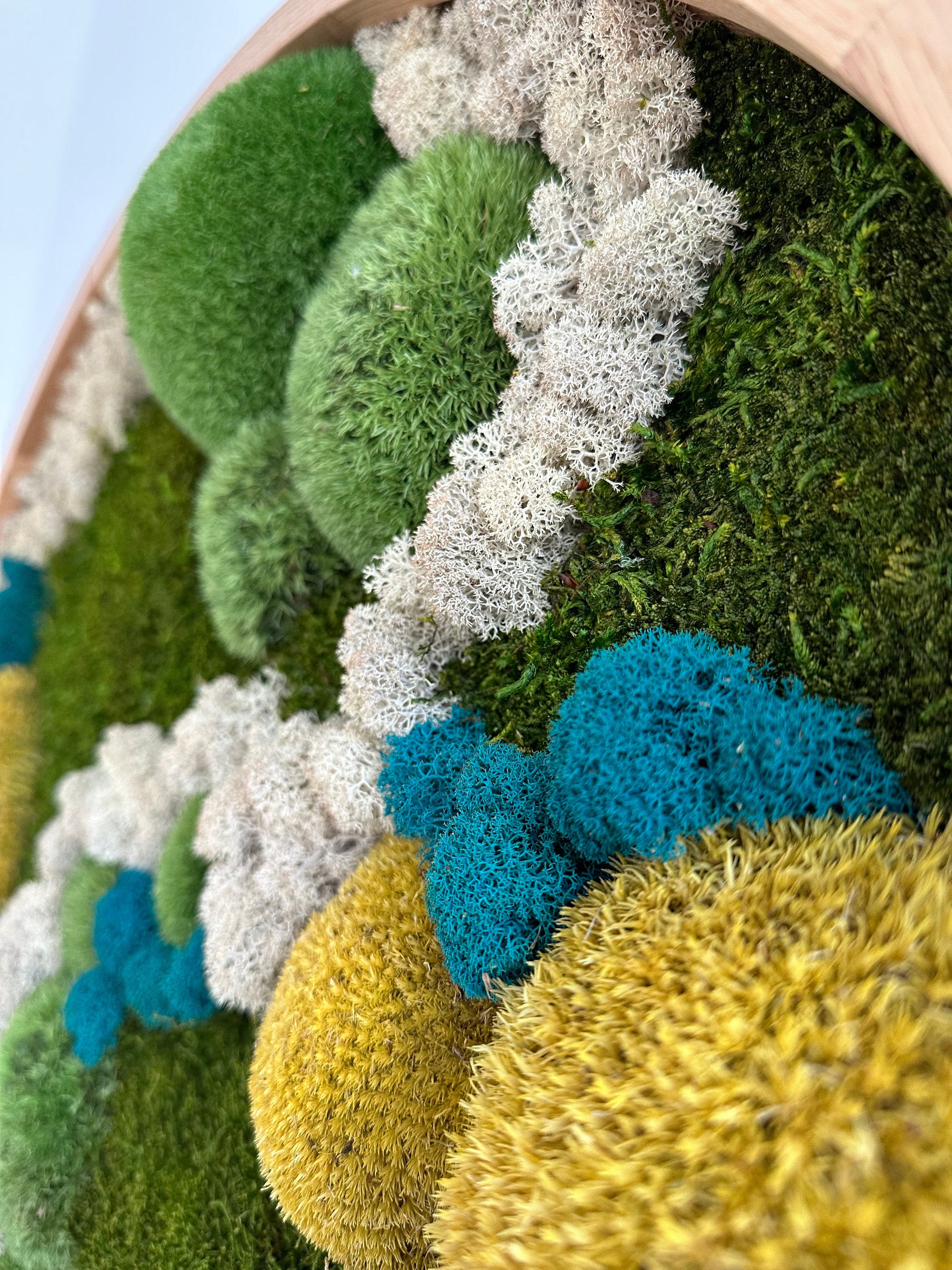 Colorful Moss Picture, Wooden Frame, Moss Art, Home Decoration - Etsy