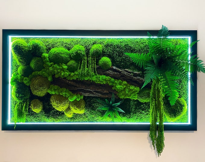 Beautiful Preserved Moss Artwork With LED Lights Live Moss LED Wall Art ...