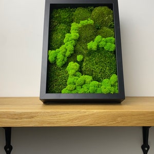 Moss Frame, Moss Art, Mosswall, Moss Picture, Home Decoration - Etsy
