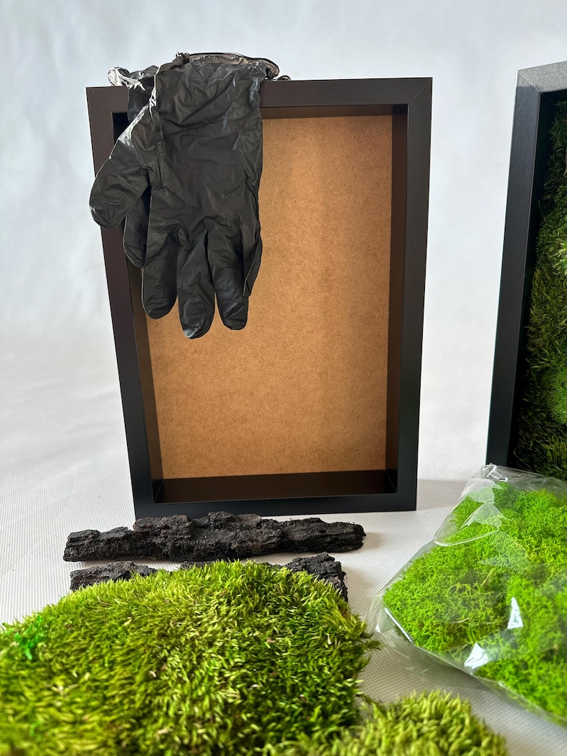DIY Moss Art Kit, Handcraft, Moss Picture, Creative Gift - Etsy