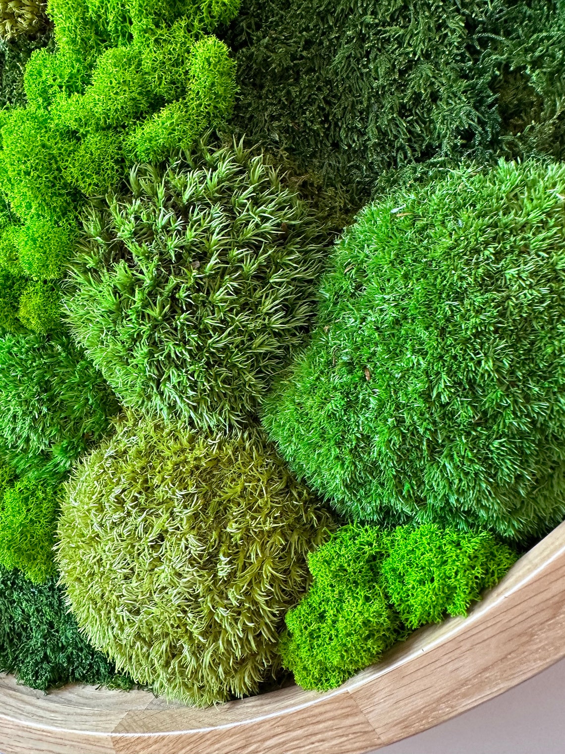 Wooden Frame Moss Picture, Moss Art, Home Decoration - Etsy