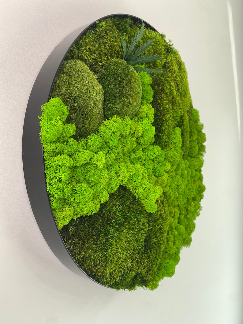 Black Framed Moss Art: Handmade Preserved Moss Picture - Etsy