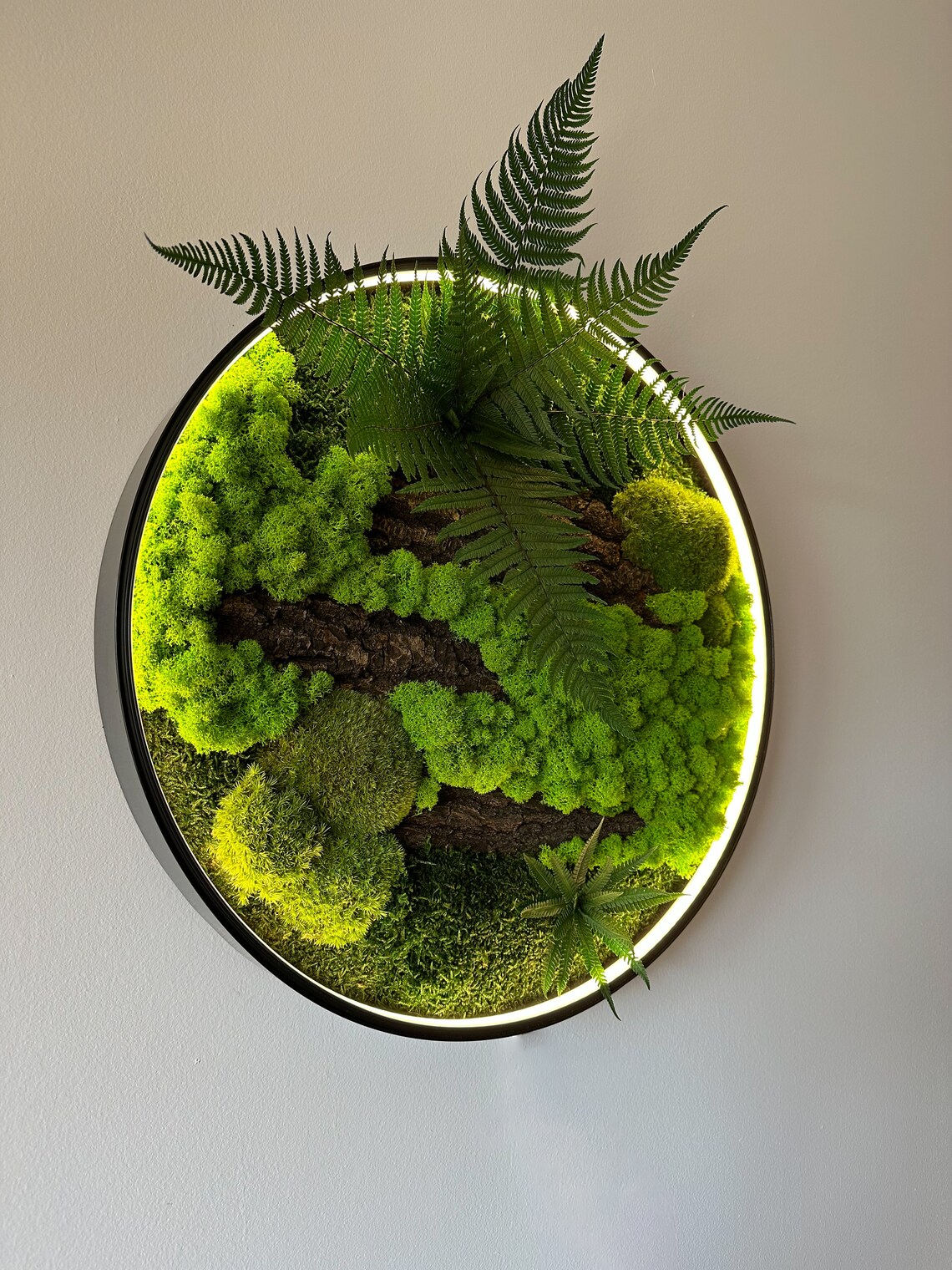 Lush Green LED Moss Wall Art - Circular Steel Frame With Preserved Moss ...