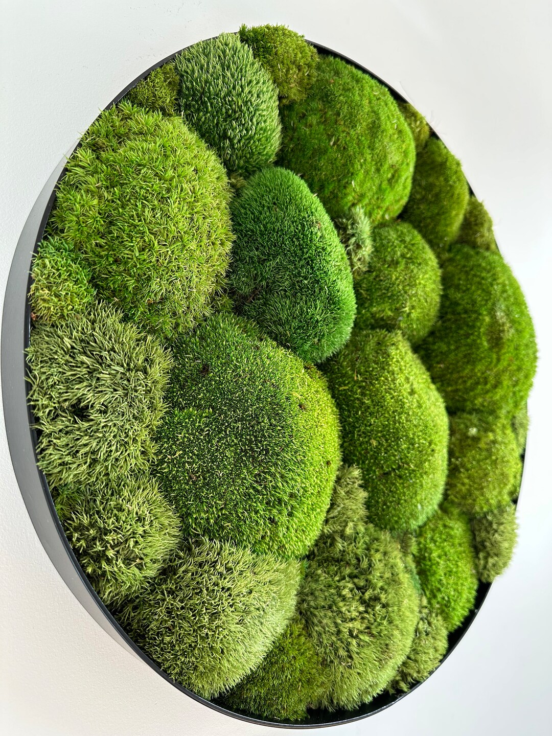 Moss Frame Moss Art Mosswall Moss Picture Home Decoration - Etsy