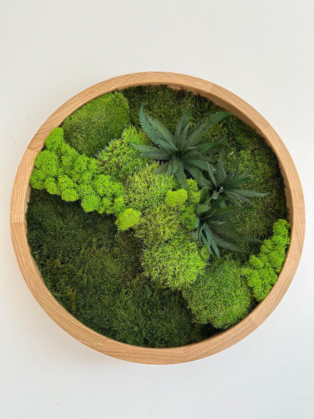 Wooden Frame Moss Picture, Moss Art, Home Decor - Etsy