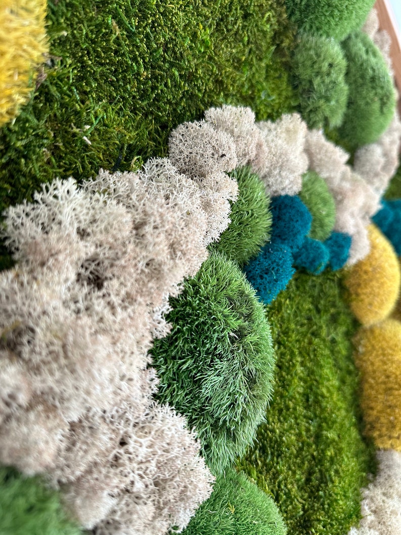 Colorful Moss Picture, Wooden Frame, Moss Art, Home Decoration - Etsy