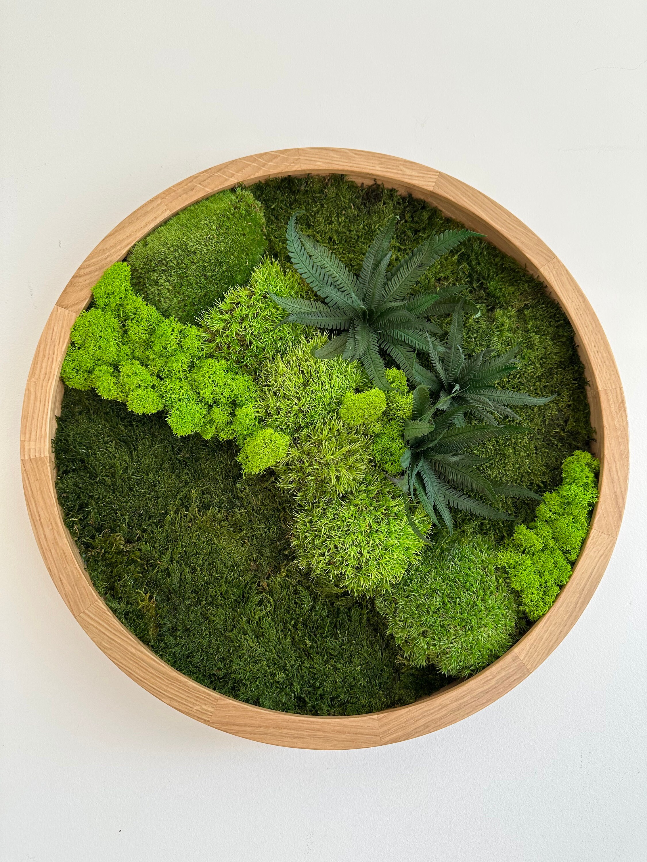 Wooden Frame Moss Picture, Moss Art, Home Decor - Etsy