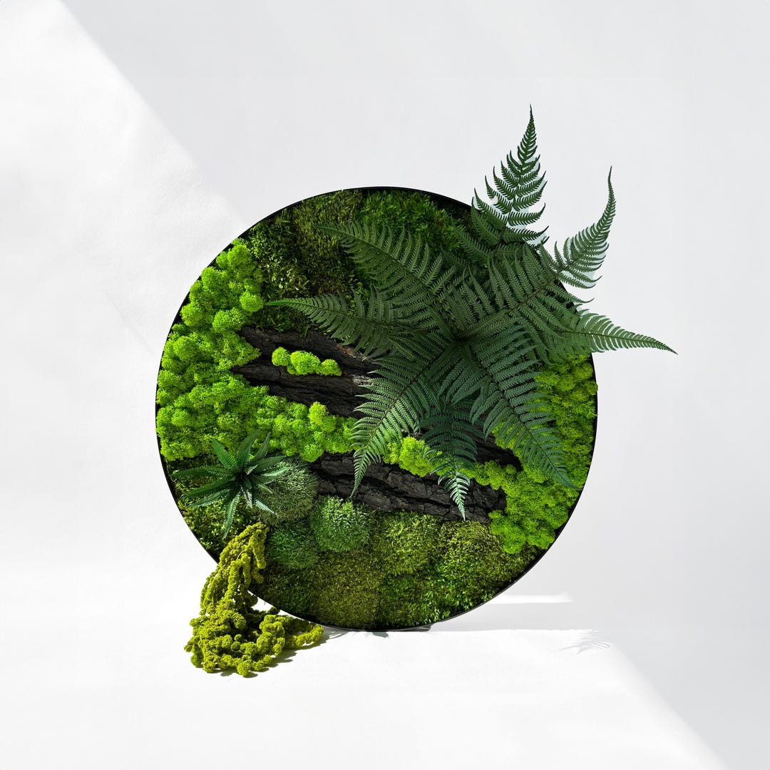 Moss Frame, Moss Art, Mosswall, Moss Picture, Home Decoration - Etsy