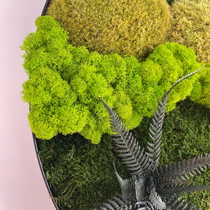 Moss Frame, Moss Art, Mosswall, Moss Picture, Home Decoration - Etsy