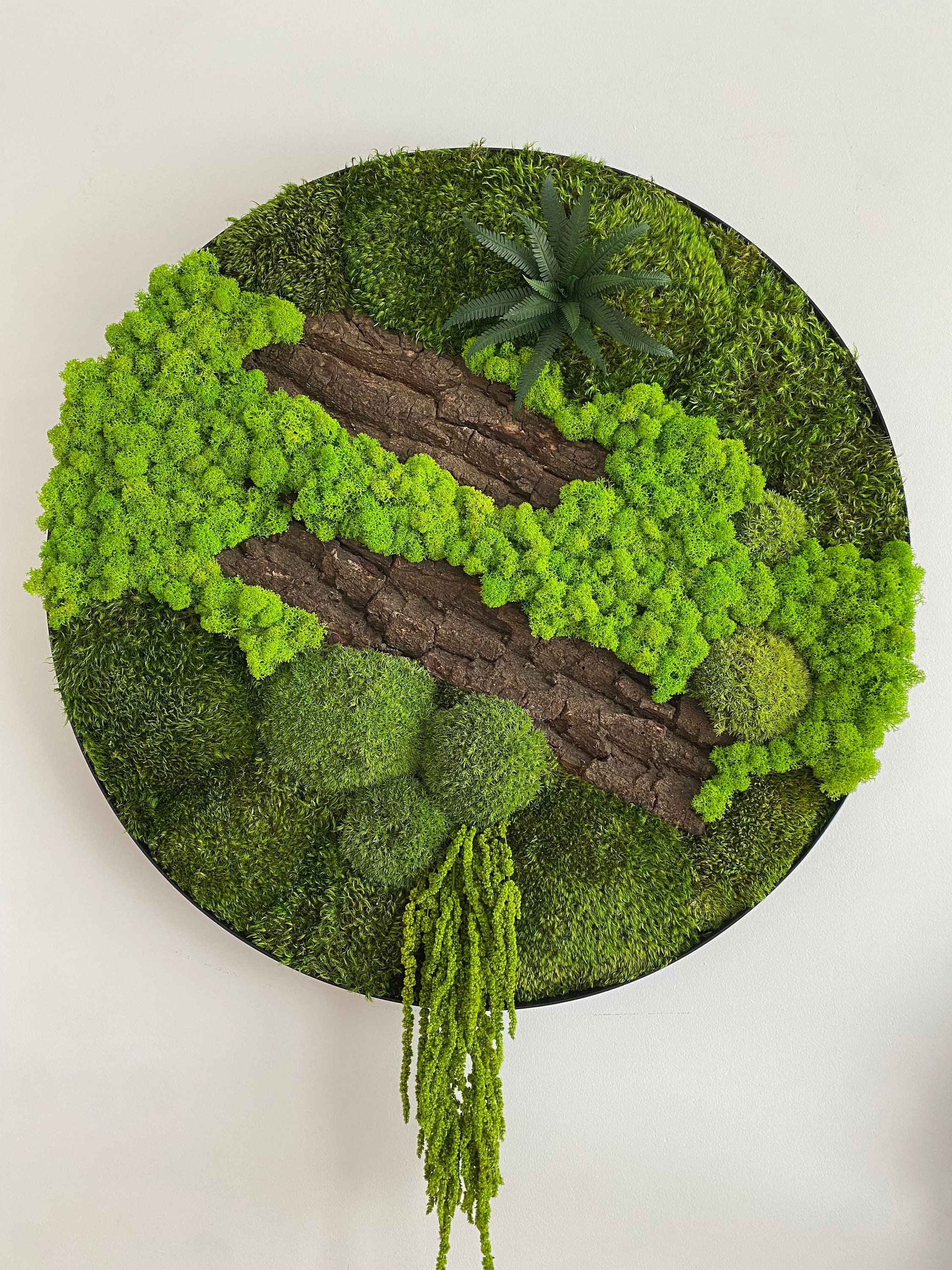 3er Set Moosbilder, Mooswand, Moosbild - Etsy.de