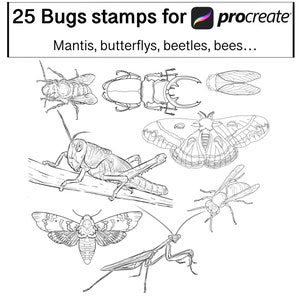 25 Bugs Stamps for Procreate Tattoo - Etsy