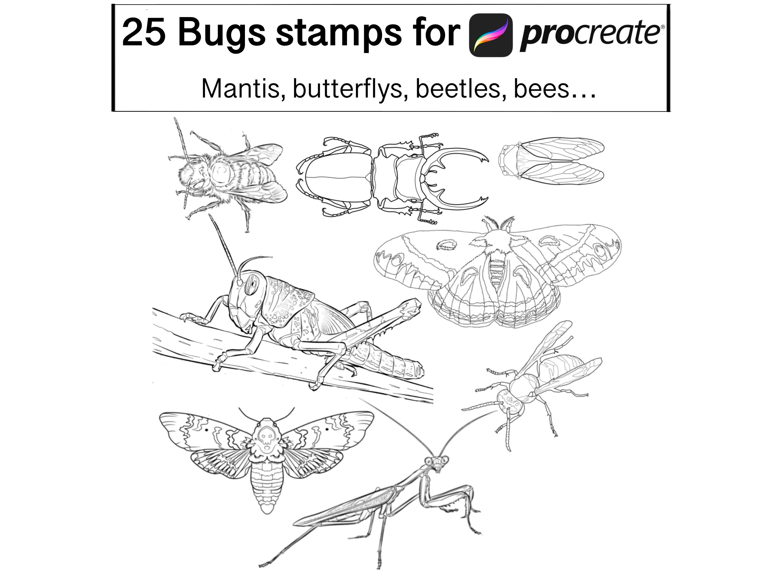 25 Bugs Stamps for Procreate Tattoo - Etsy