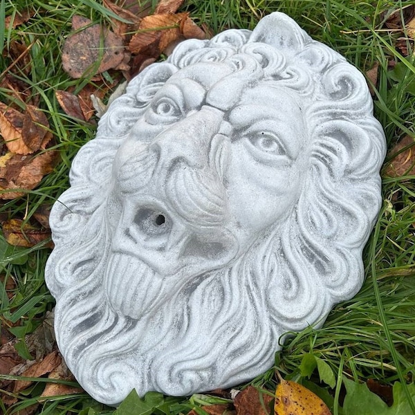 Lion Head Pool - Etsy