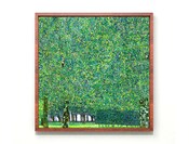 Tree Leaves Identification Poster British Species - Etsy