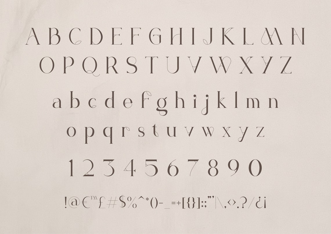 Display Serif Font Lettering Branding Fonts Logo Font Chic - Etsy