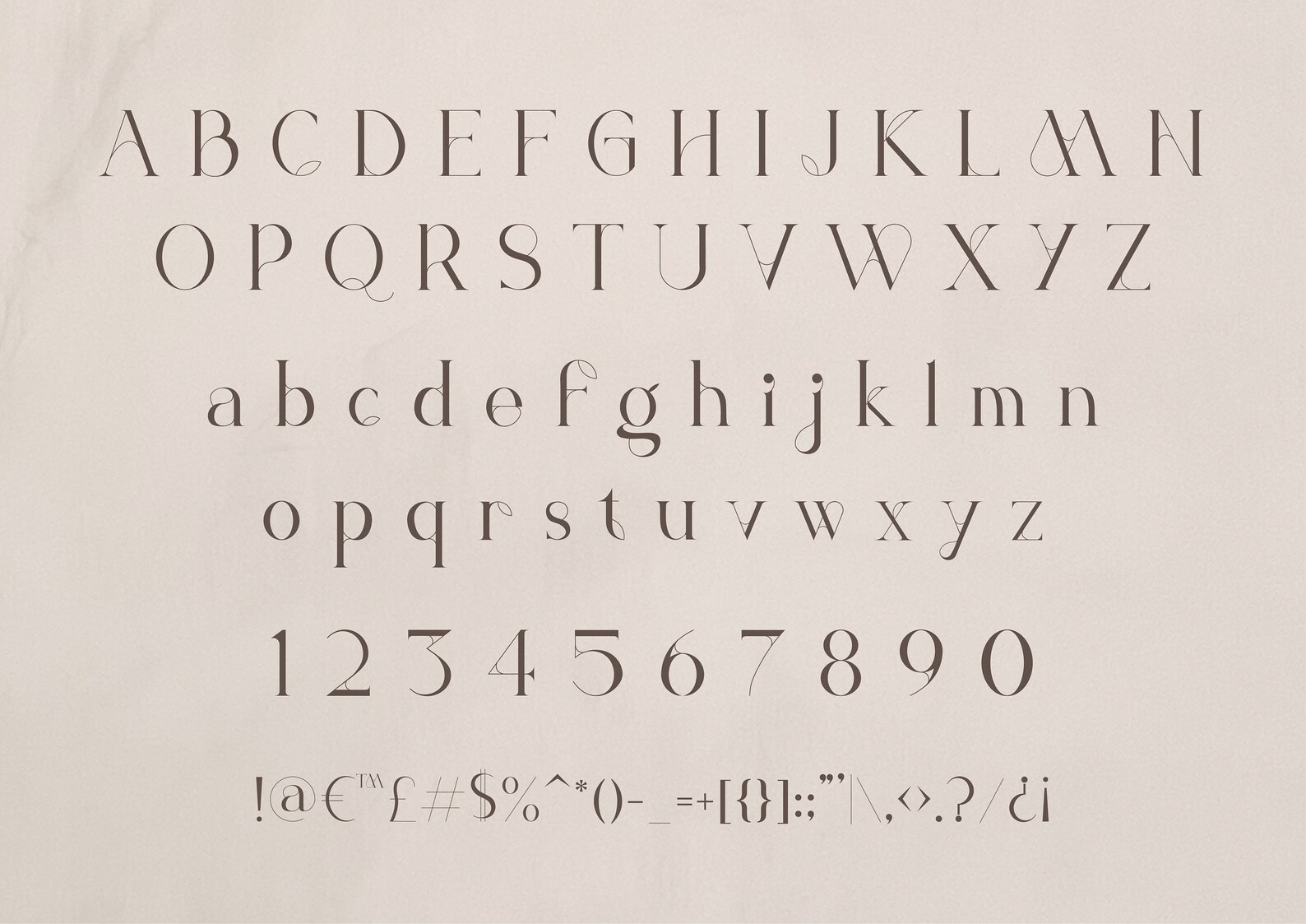 Display Serif Font Lettering Branding Fonts Logo Font Chic - Etsy