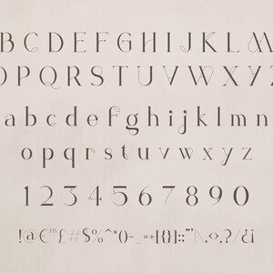 Display Serif Font, Lettering, Branding Fonts, Logo Font, Chic Font ...