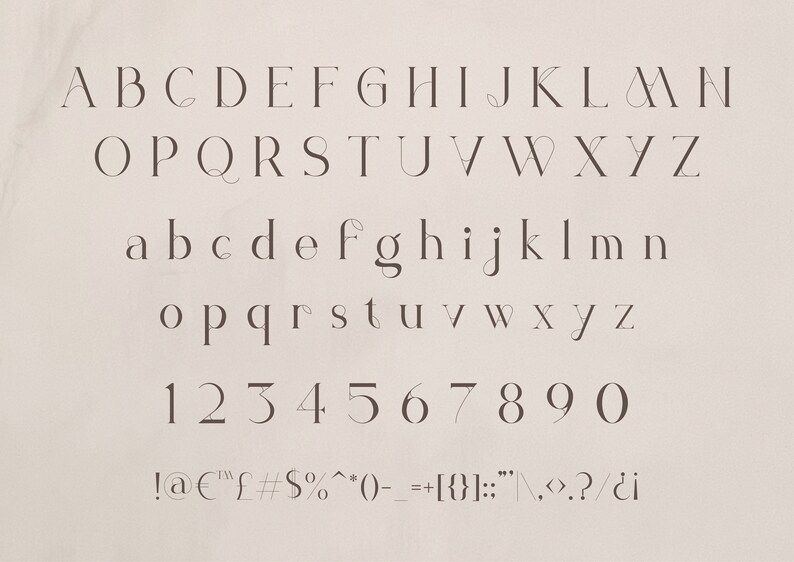 Display Serif Font Lettering Branding Fonts Logo Font Chic - Etsy