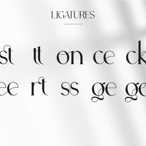 Display Serif Font Lettering Branding Fonts Logo Font Chic - Etsy