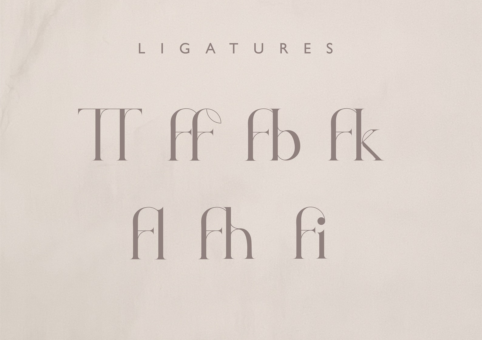 Display Serif Font Lettering Branding Fonts Logo Font Chic - Etsy