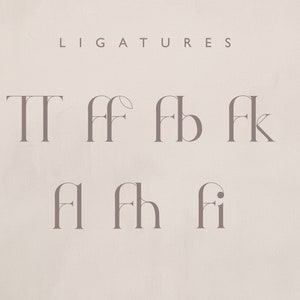 Display Serif Font, Lettering, Branding Fonts, Logo Font, Chic Font ...